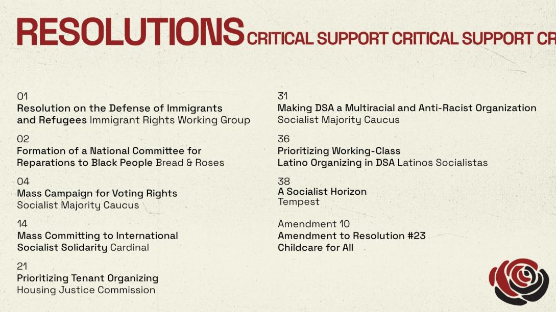 Recommendations From The Libertarian Socialist Caucus For The 2021 DSA ...