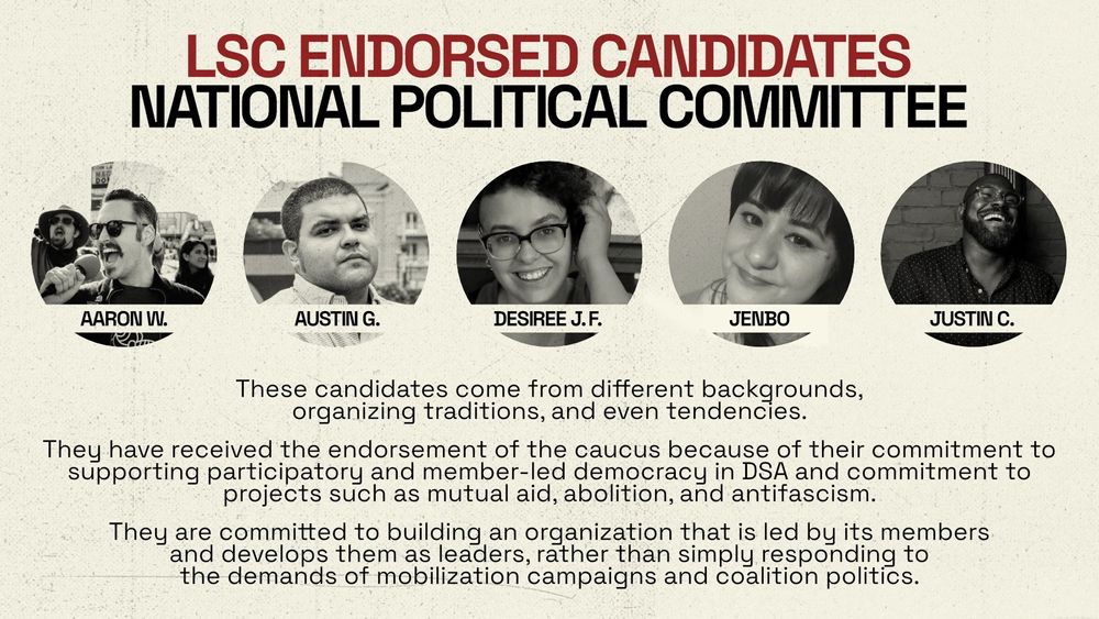 Libertarian Socialist Caucus Candidate Endorsements for the 2021-2023 ...